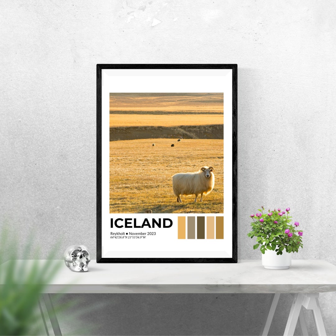 Iceland Print Iceland Wall Art Iceland Art Print Iceland Photo Sheep in ...