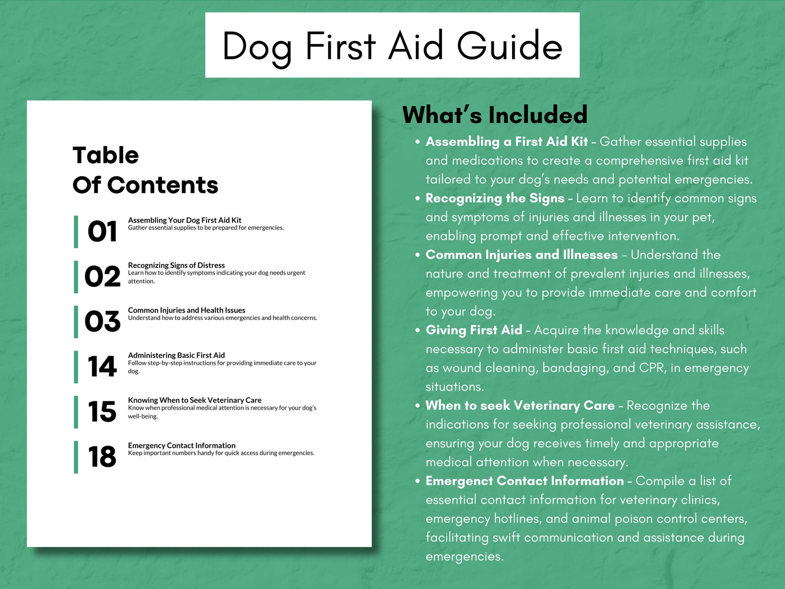 Dog First Aid Guide | Injury Care | Emergency Guide | Instant Download ...