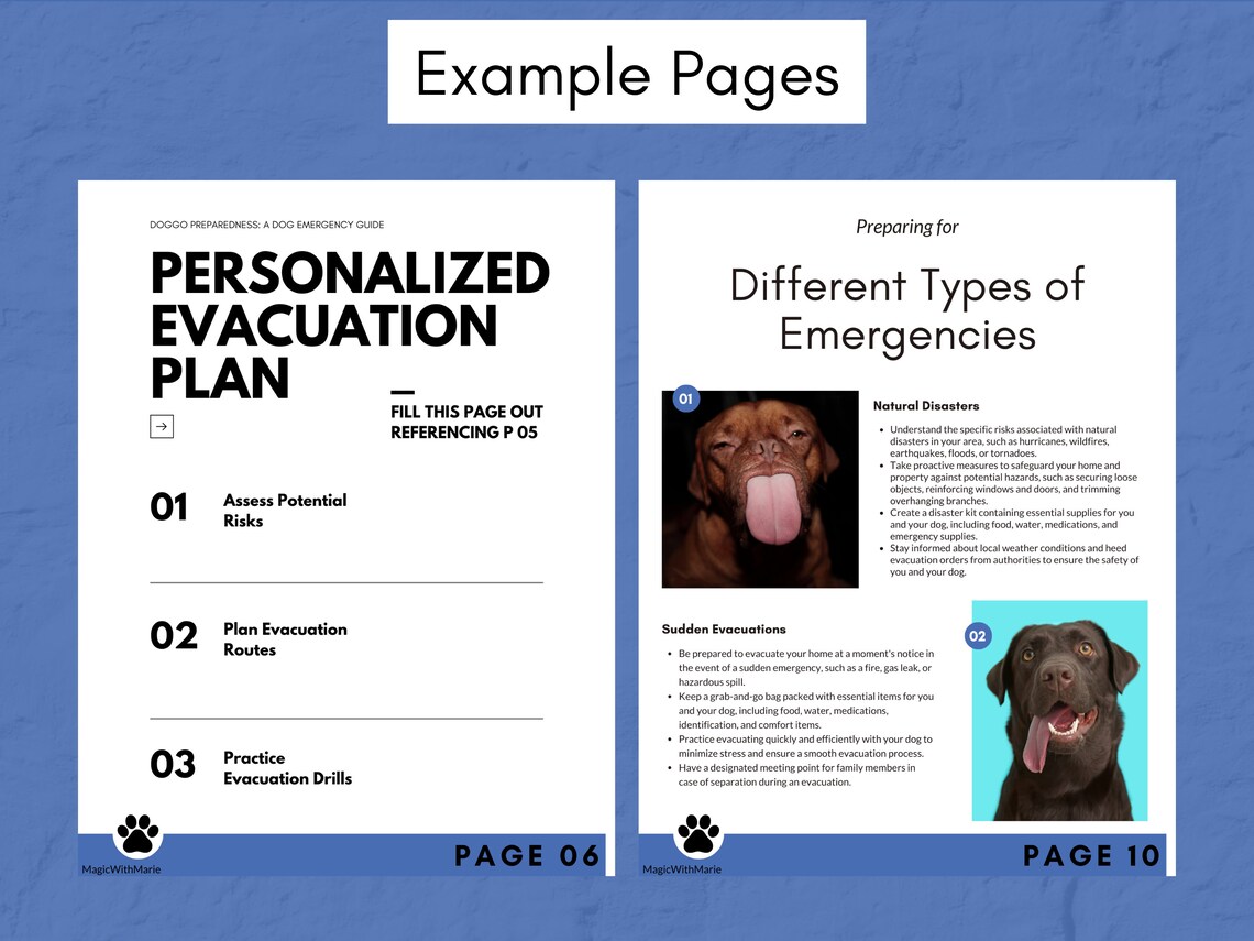 Dog Emergency Kit Checklist Disaster Preparedness for Dogs Guide ...