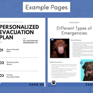 Dog Emergency Kit Checklist Disaster Preparedness for Dogs Guide ...