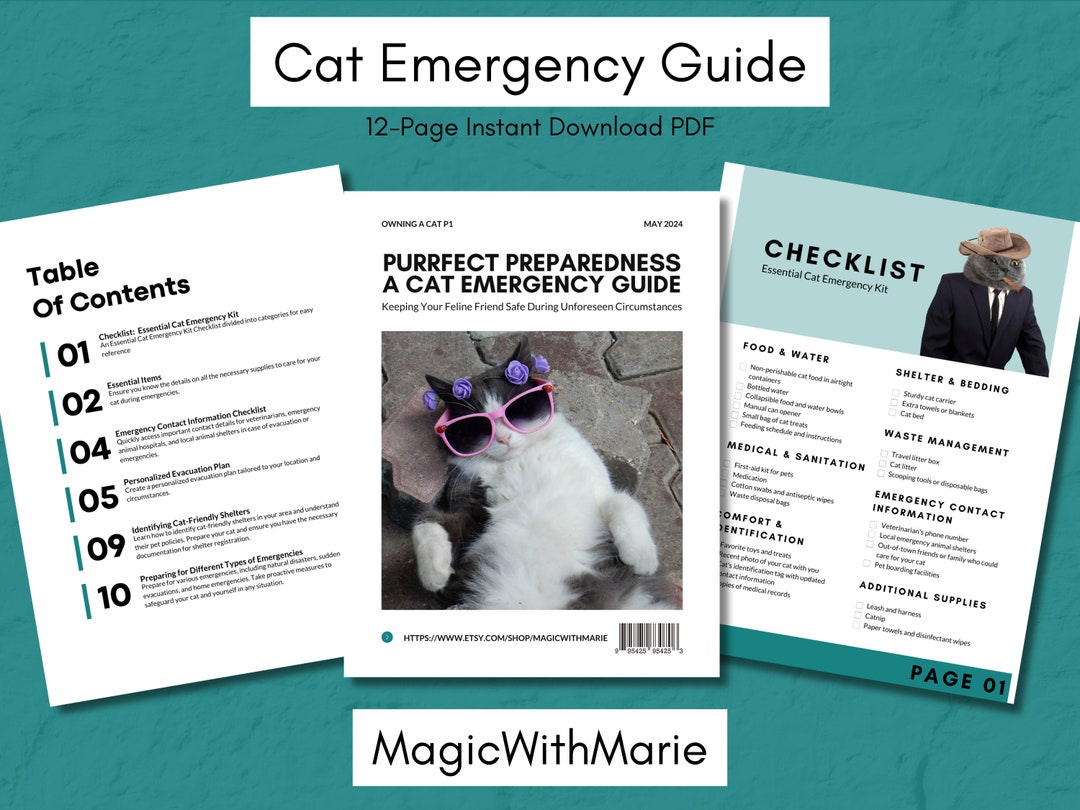 Cat Emergency Kit Checklist | Disaster Preparedness for Cats Guide ...