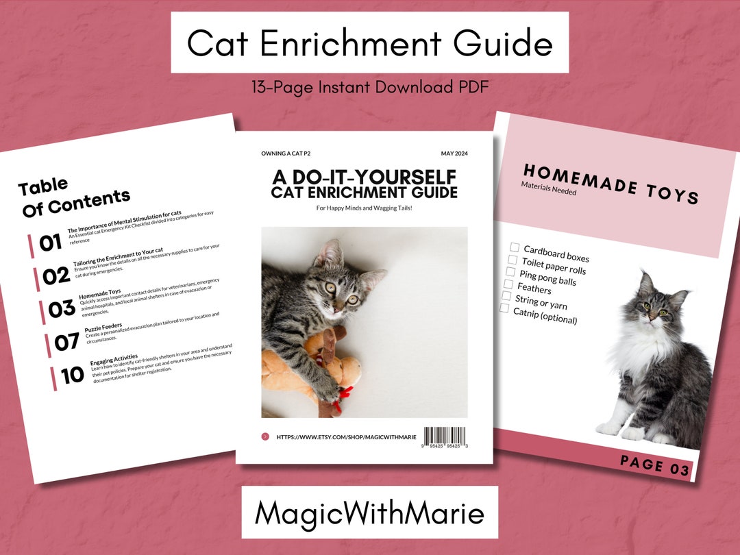 DIY Cat Enrichment Guide | Homemade Pet Toys | Interactive Games ...