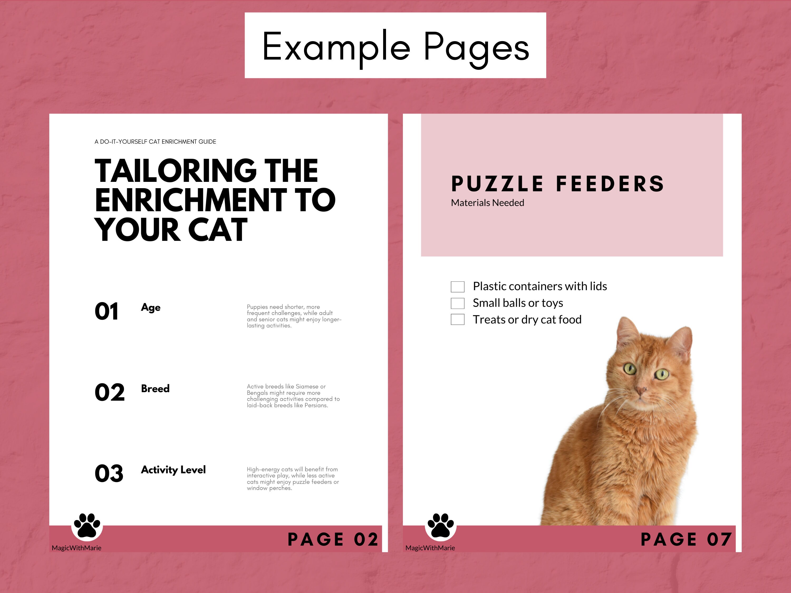 DIY Cat Enrichment Guide | Homemade Pet Toys | Interactive Games ...
