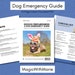 Dog Emergency Kit Checklist | Disaster Preparedness for Dogs Guide ...