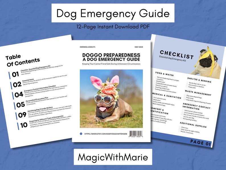 Dog Emergency Kit Checklist | Disaster Preparedness for Dogs Guide ...