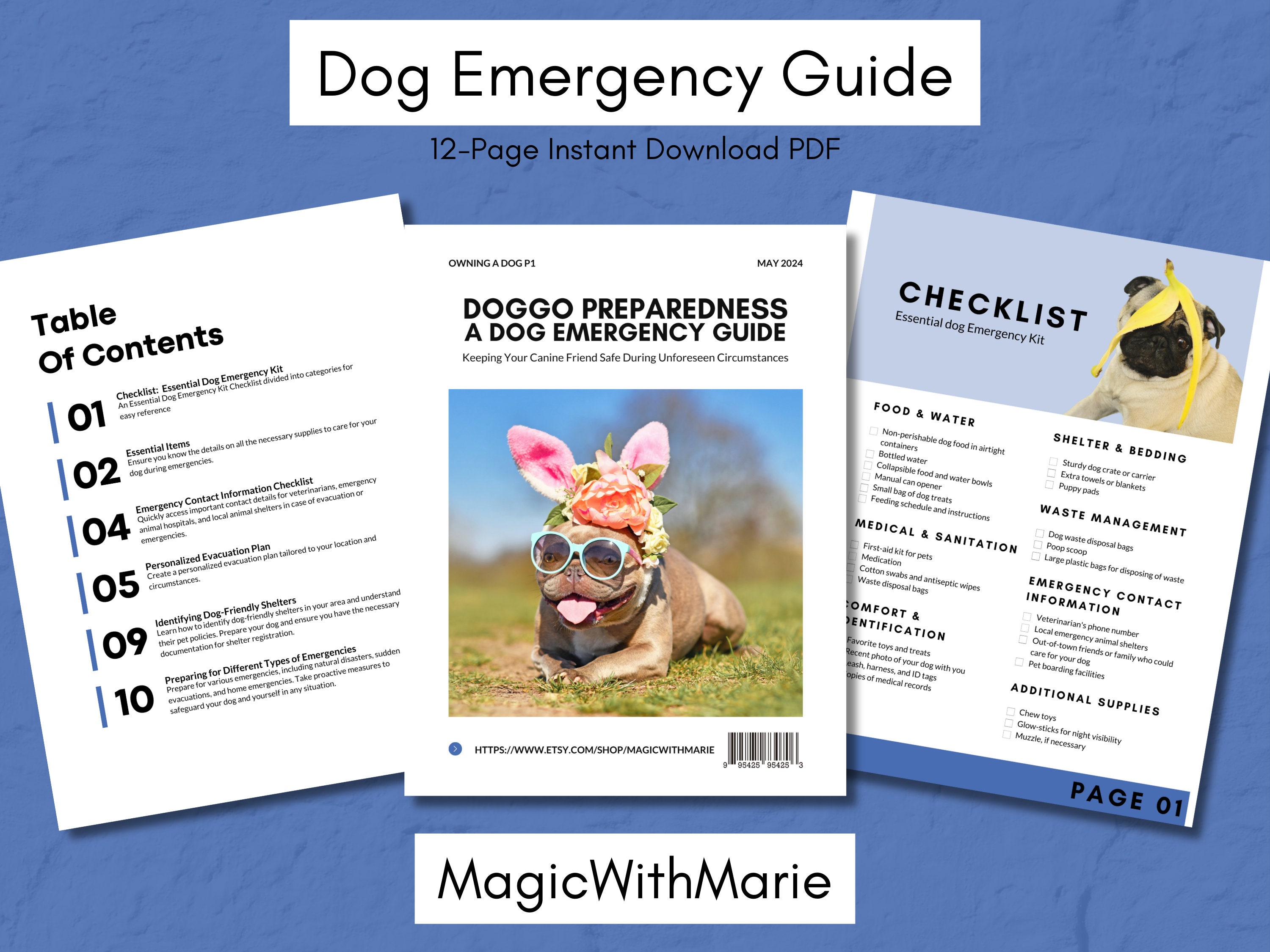 Dog Emergency Kit Checklist | Disaster Preparedness for Dogs Guide ...