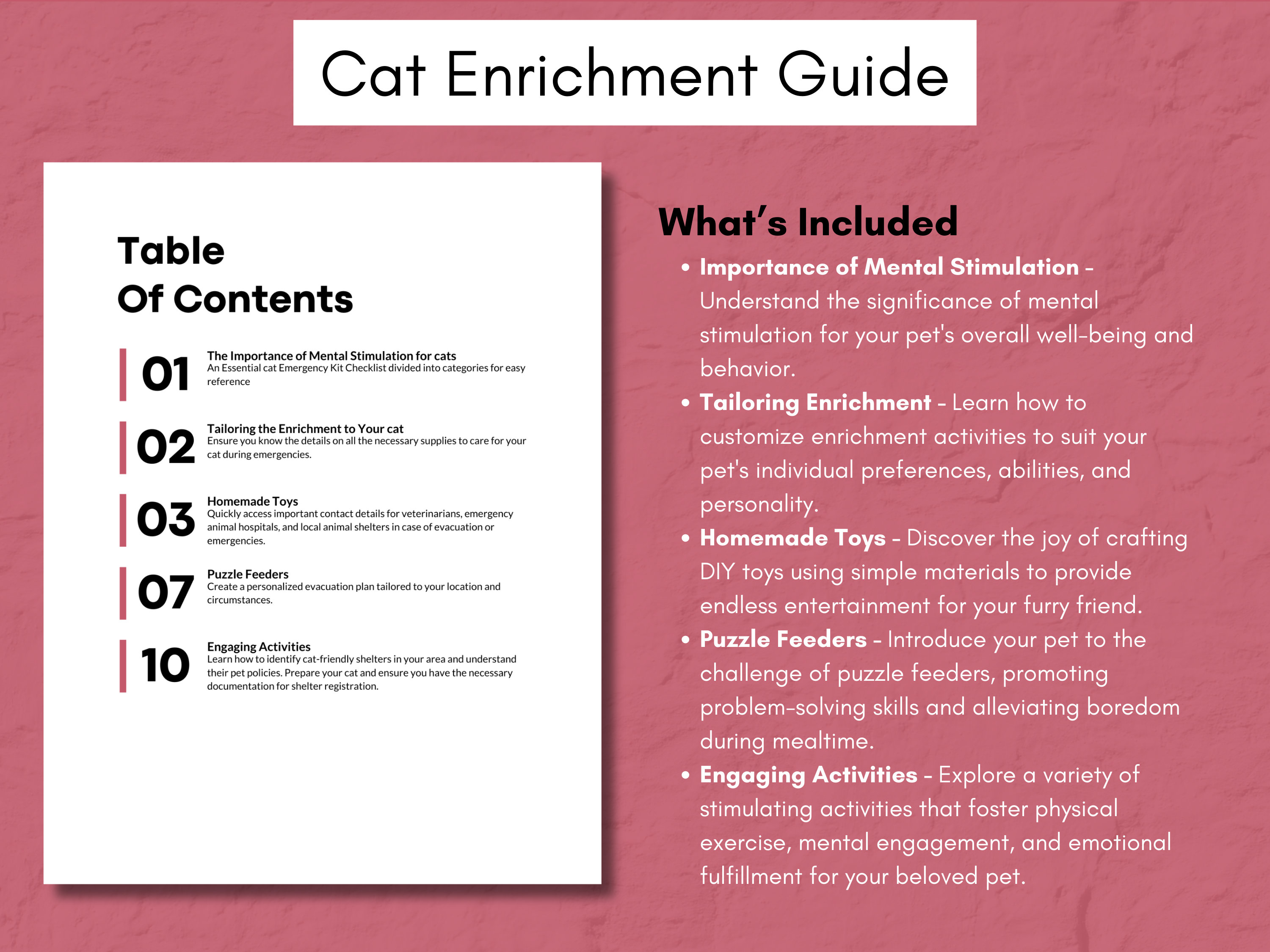 DIY Cat Enrichment Guide | Homemade Pet Toys | Interactive Games ...