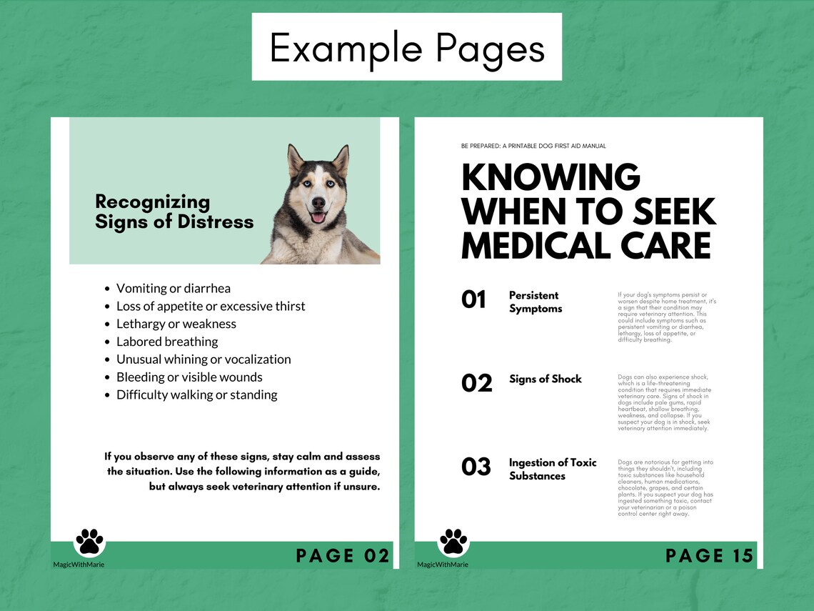 Dog First Aid Guide | Injury Care | Emergency Guide | Instant Download ...
