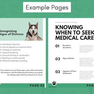 Dog First Aid Guide | Injury Care | Emergency Guide | Instant Download ...