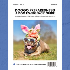 Dog Emergency Kit Checklist Disaster Preparedness for Dogs Guide ...