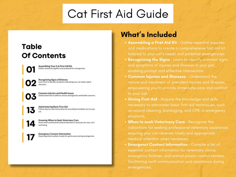 Cat First Aid Guide Injury Care Emergency Guide Instant Download ...
