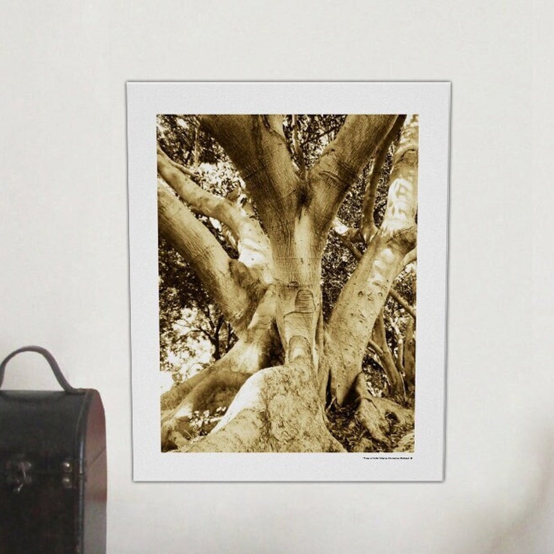 Sepia Tree - Etsy