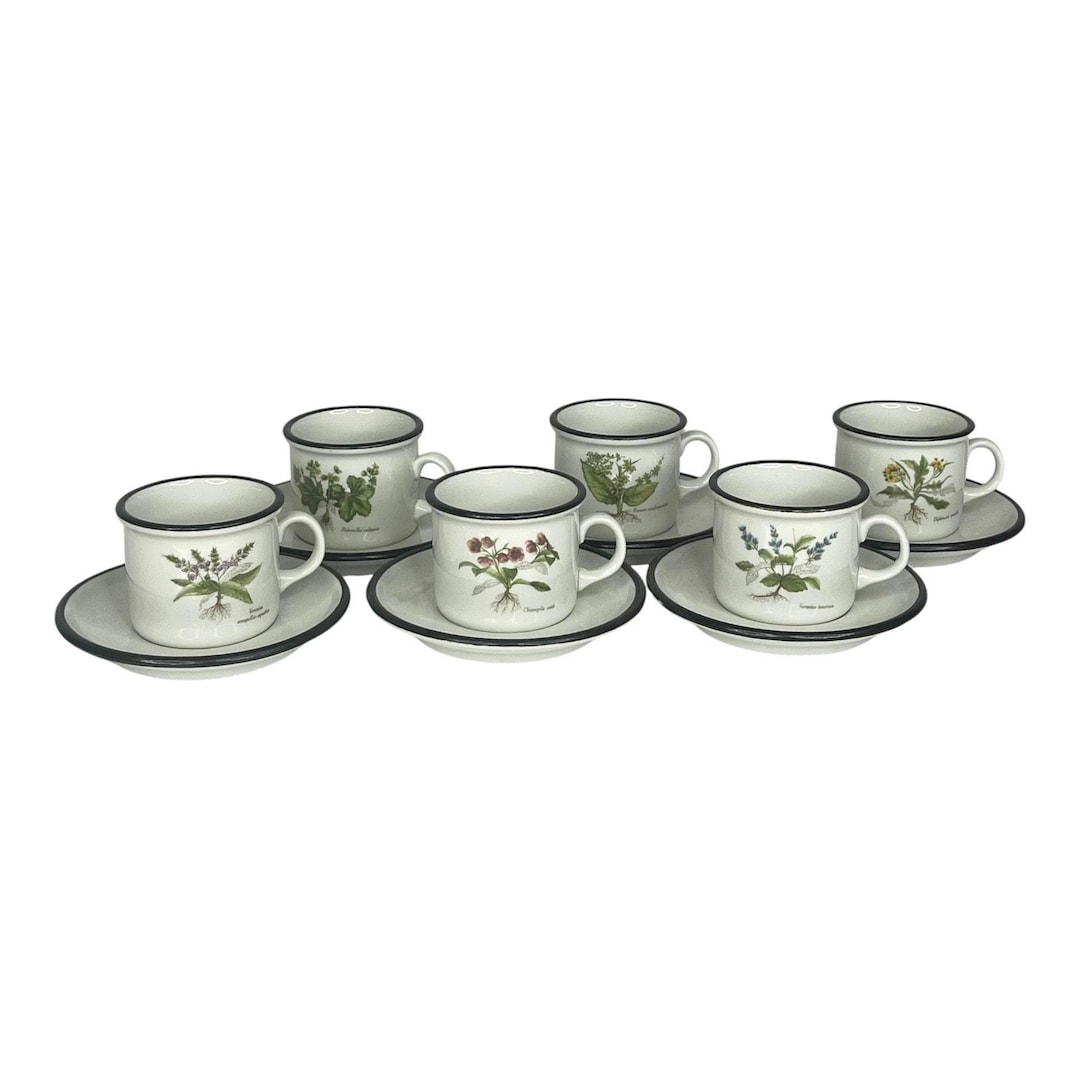 ITALIAN Set (6) Espresso Tea IPA Cups & SAUCERS Demitasse Botanic ...