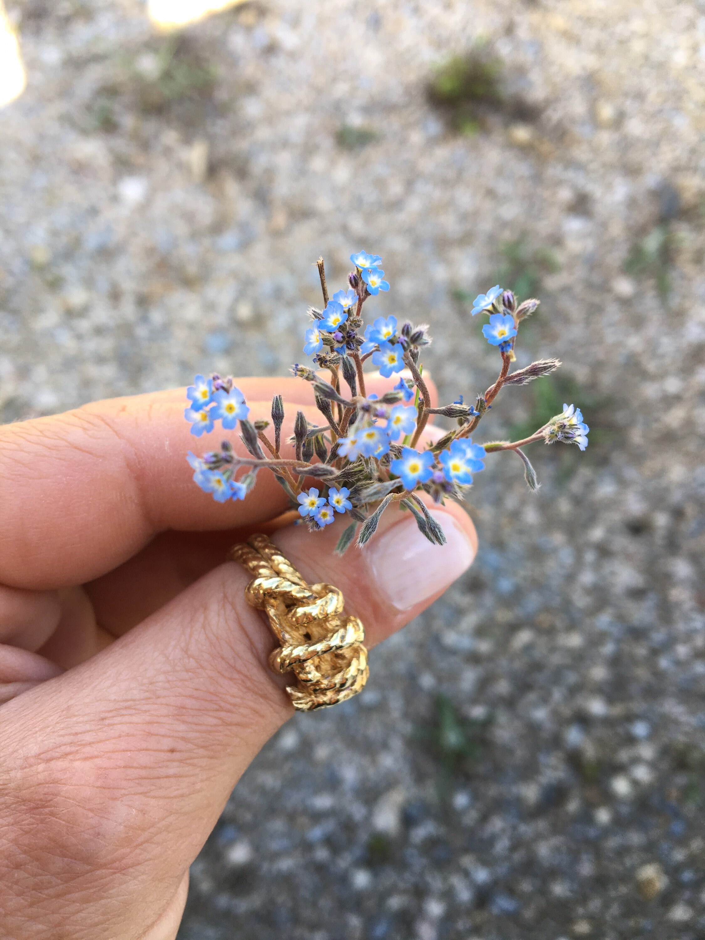 Sterling Silver Ring Silver Rope Ring Handmade Ring gift - Etsy