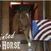 American Flag Art Painting Painted by an Actual Horse Framed - Etsy