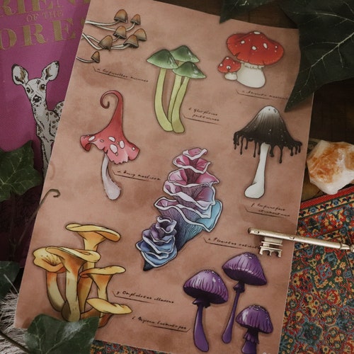 Cottagecore Mushroom Sticker Sheet - Etsy
