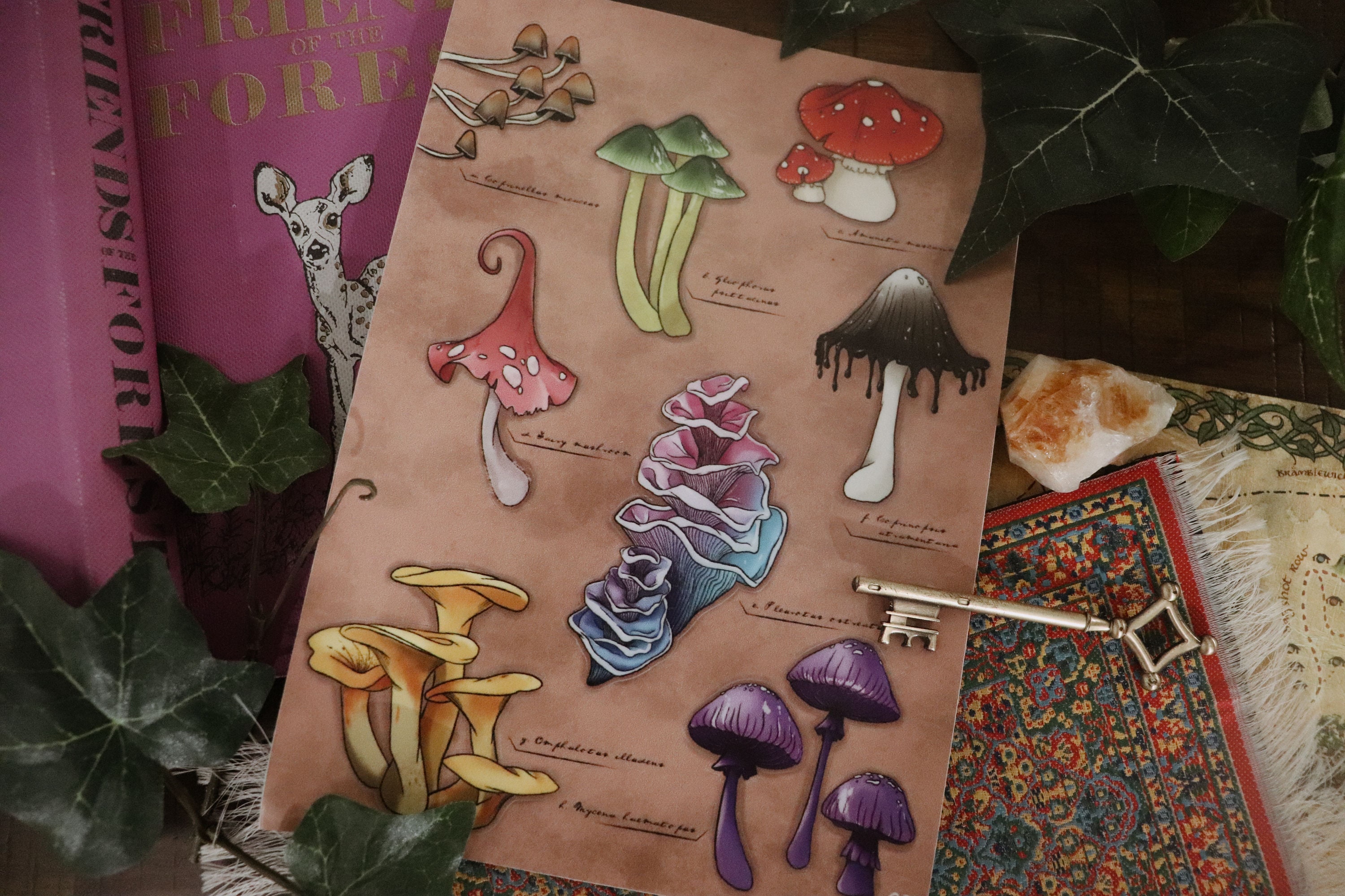 Cottagecore Mushroom Sticker Sheet - Etsy
