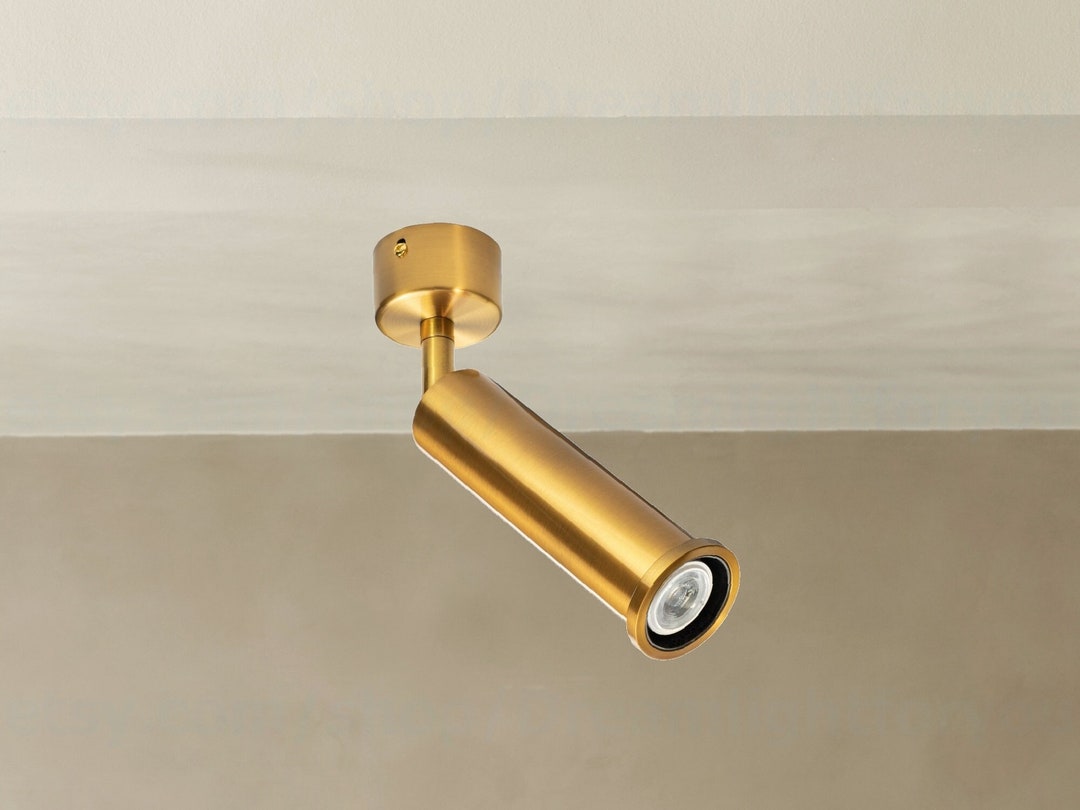 Gold Spotlight Lamp Spotlight Ceiling Light Cylinder Light Fixture ...
