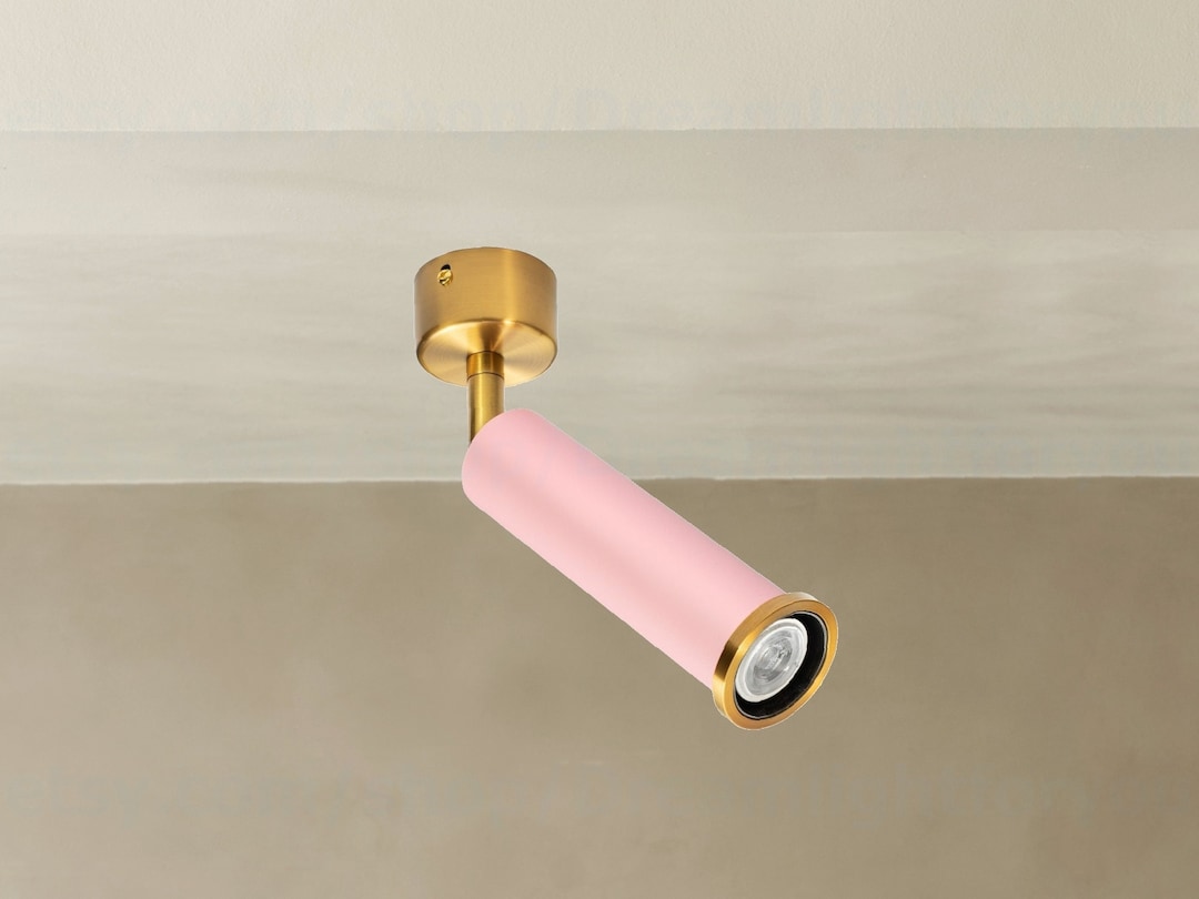 Pink Spotlight Lamp Spotlight Ceiling Light Cylinder Rose Light Fixture ...
