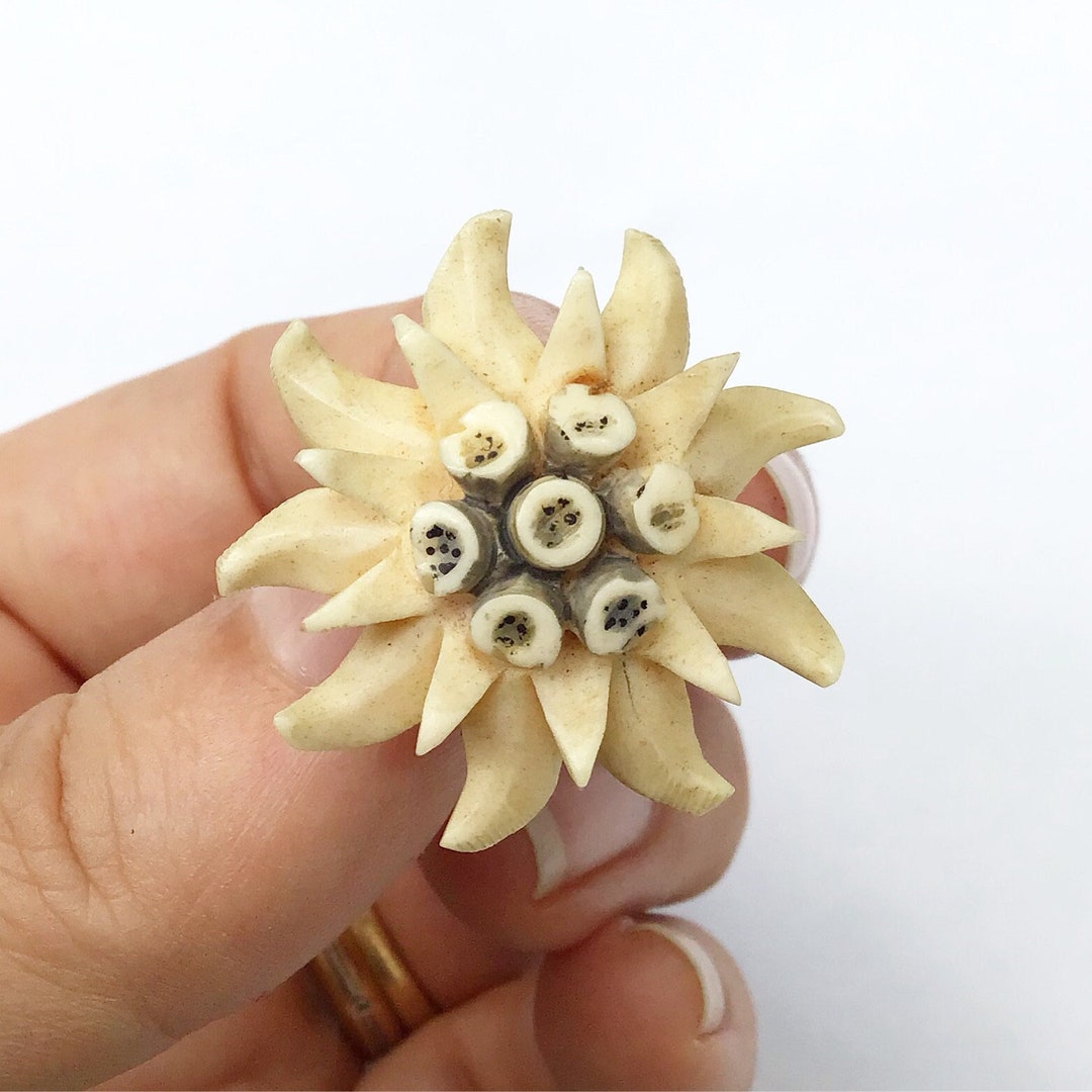1930s, Carved Celluloid, Edelweiss Brooch. - Etsy