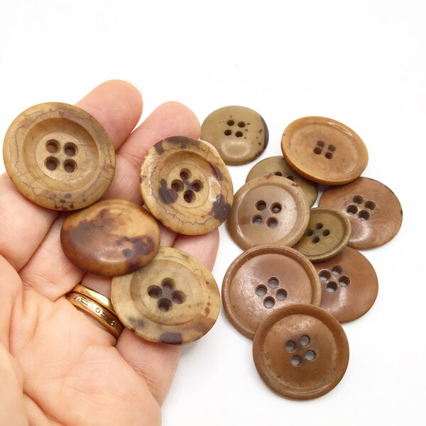Tagua Nut Buttons - Etsy