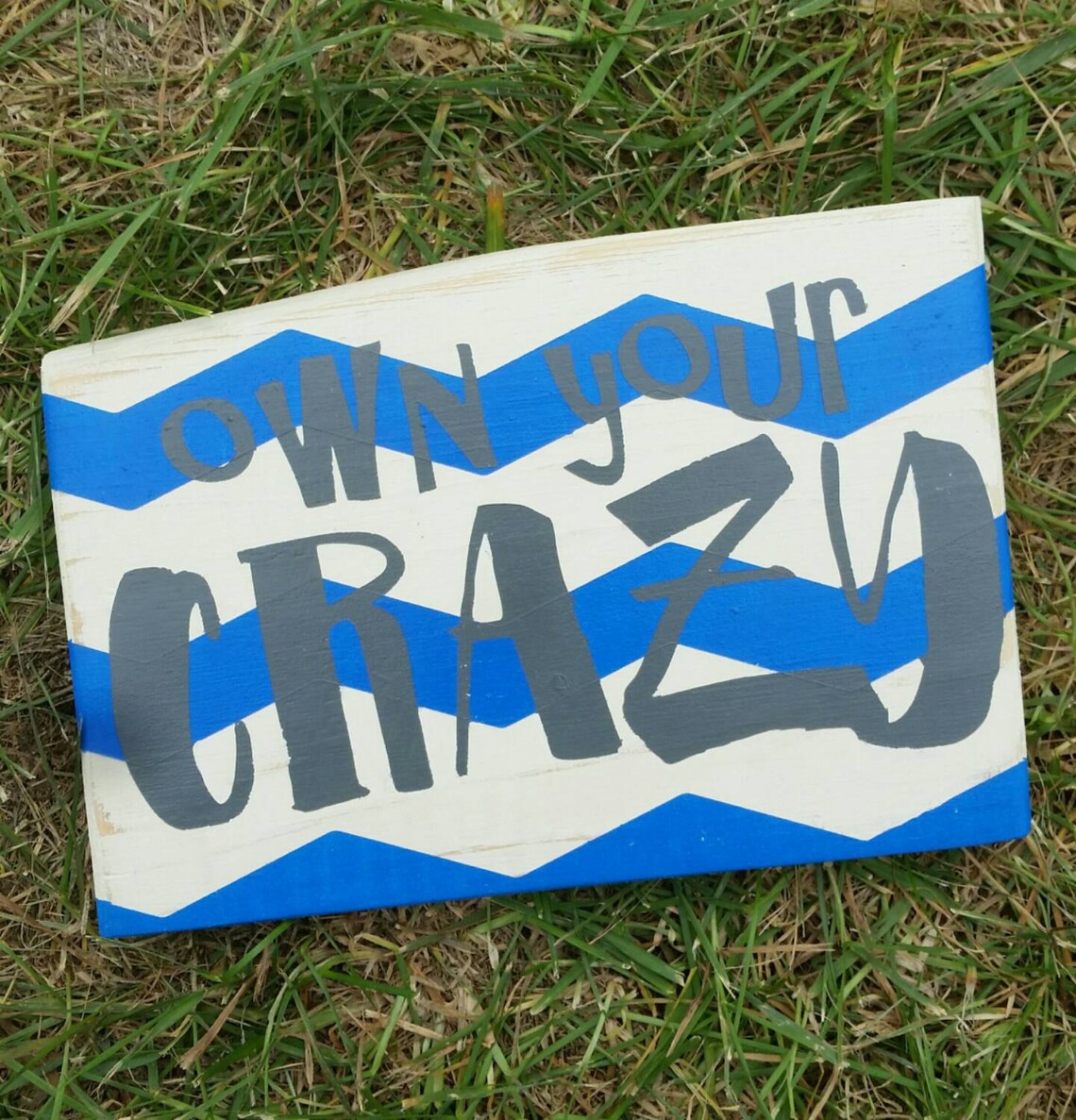Own Your Crazy sign / pallet signs / distressed wood sign / | Etsy