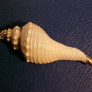 Hand Made Shell Pendant Gold Leaf Trim and Bail. Nearly - Etsy