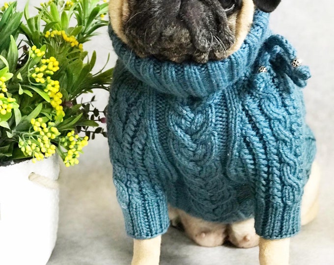 Sweater for a Pug - Etsy
