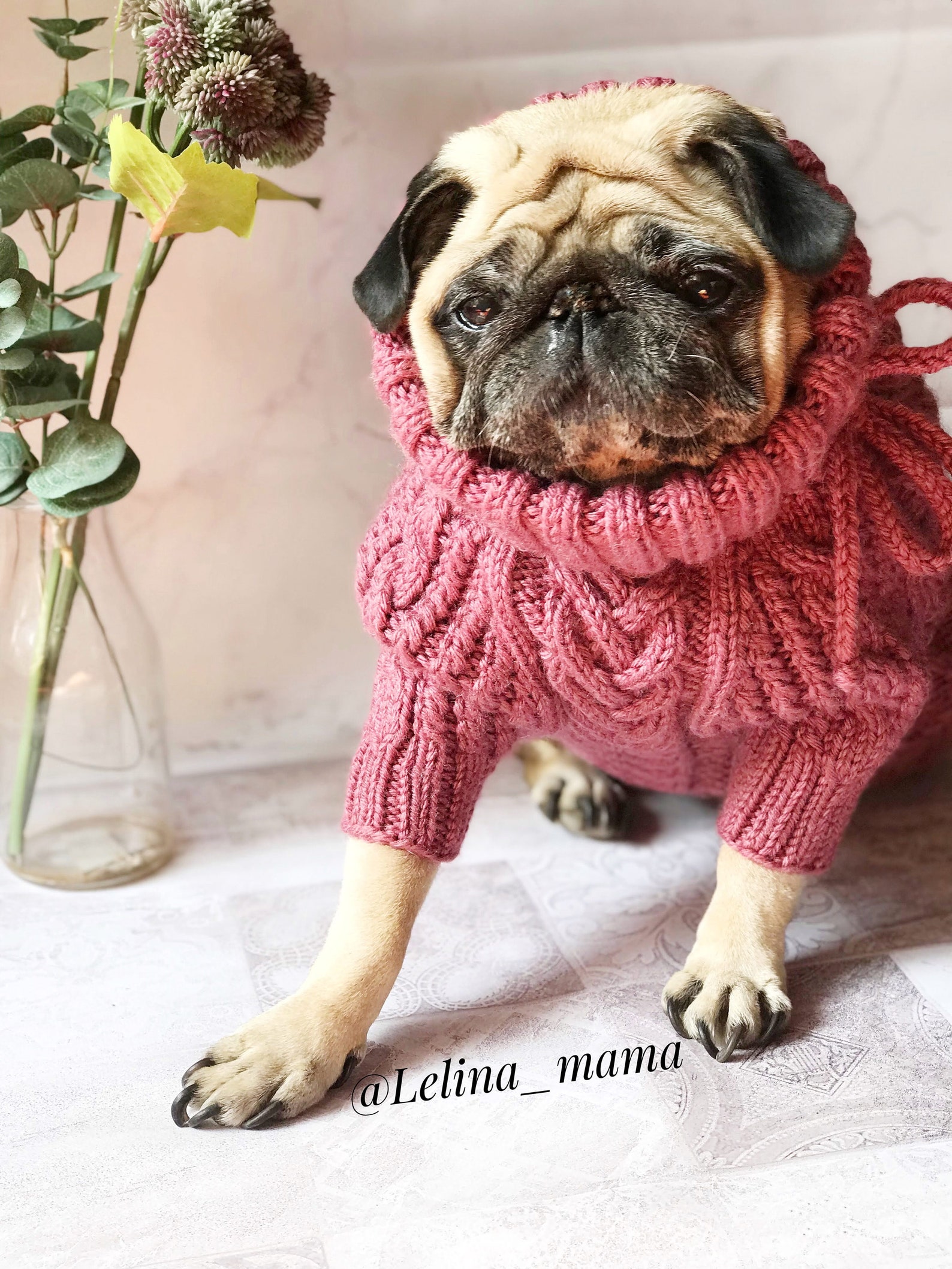 Pug Clothes Knitted Arana Sweater Dog Sweater Bulldog - Etsy