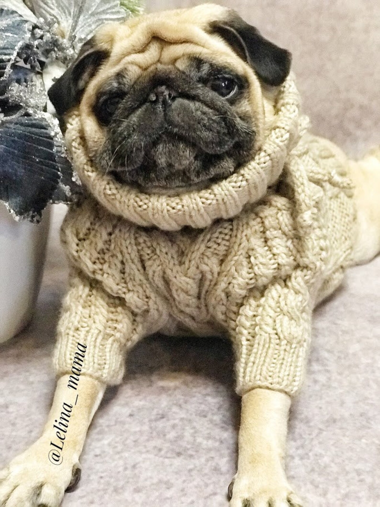 Pug clothes knitted arana sweater dog sweater bulldog | Etsy