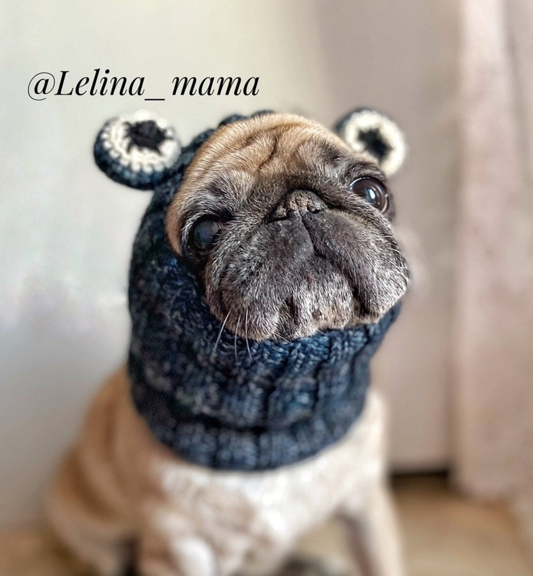 Hat for Pug, Dog Clothes, Hat for Dogs, Costume for Pug, Ears for Dogs ...