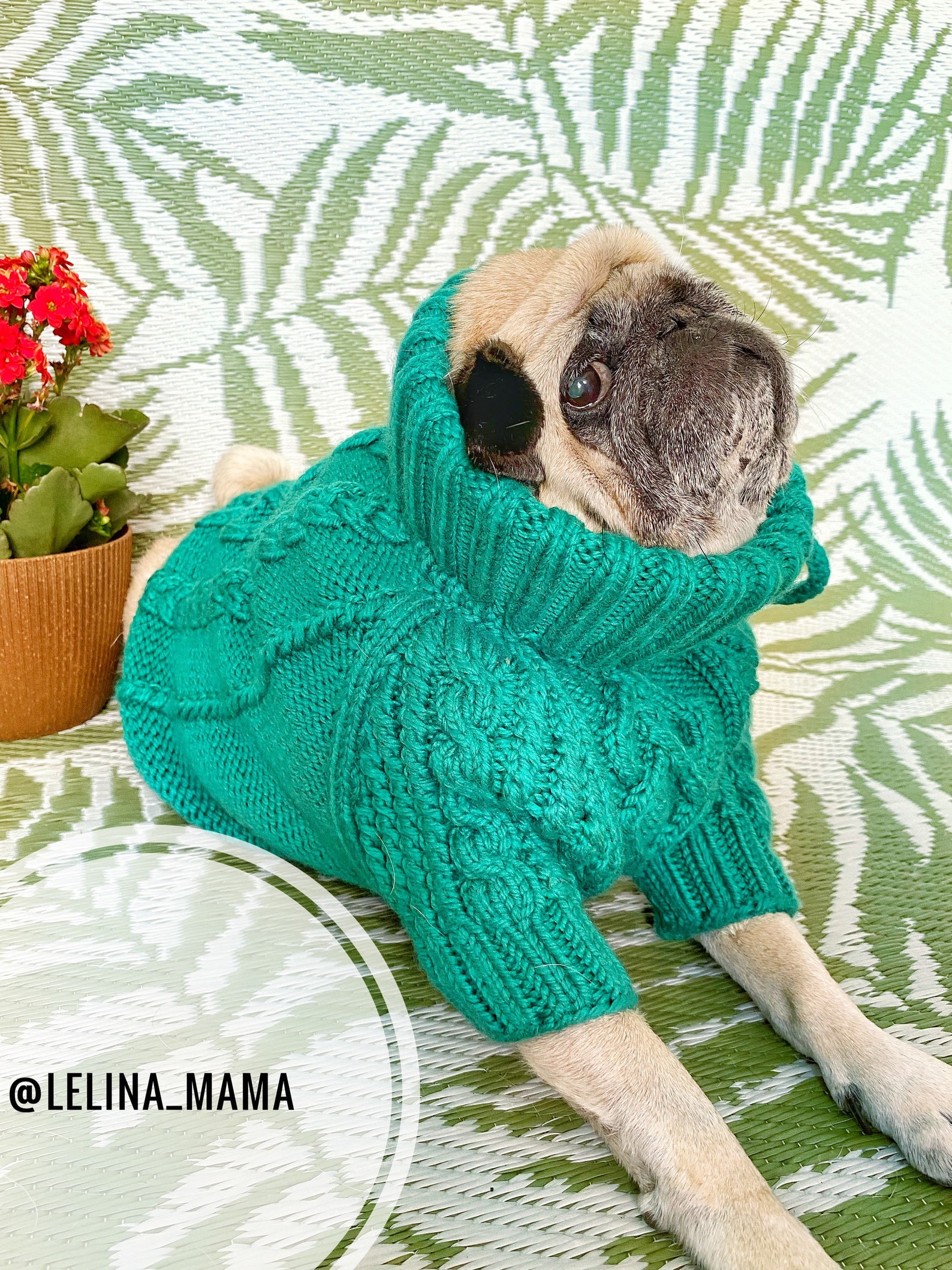 Clothes for Pug Knitted Aran Sweater Dog Sweater Knitted Dog Sweater ...