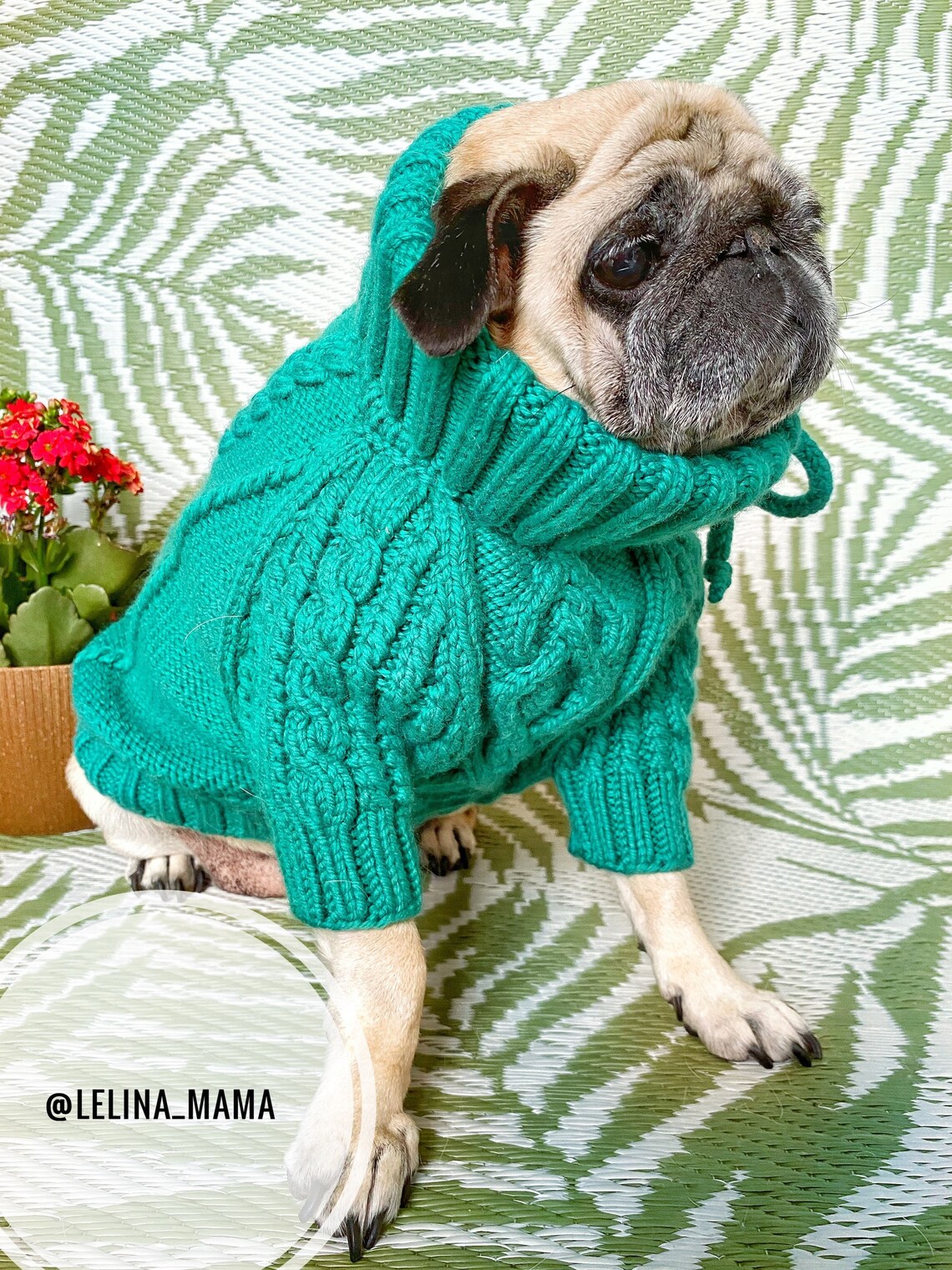 Clothes for Pug Knitted Aran Sweater Dog Sweater Knitted Dog Sweater ...