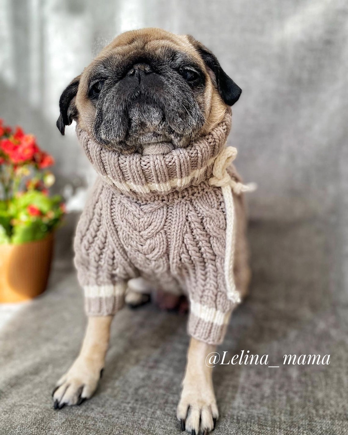 Pug Clothes, Knitted Arana Sweater, Dog Sweater, Bulldog Clothes, Pet ...