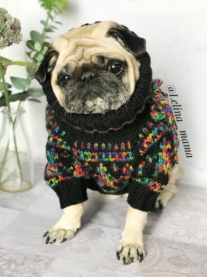 Sweater for pug Rainbow clothes for pug knitted | Etsy
