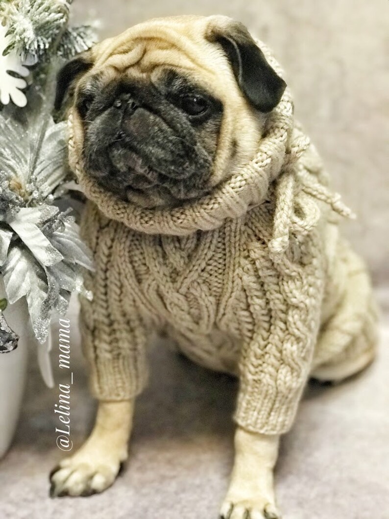 Pug clothes knitted arana sweater dog sweater bulldog | Etsy