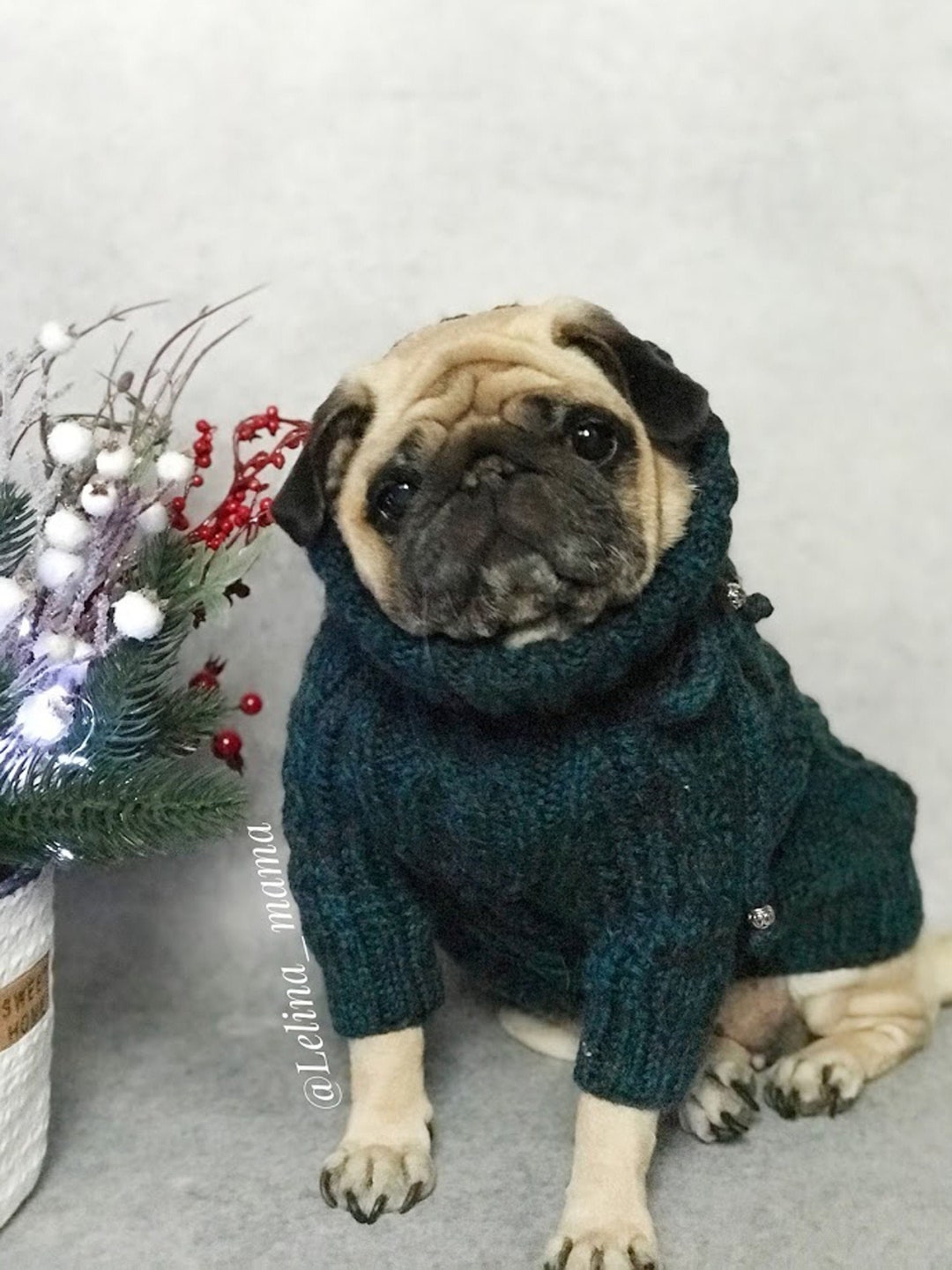 Pug Clothes Knitted Arana Sweater Dog Sweater Bulldog - Etsy