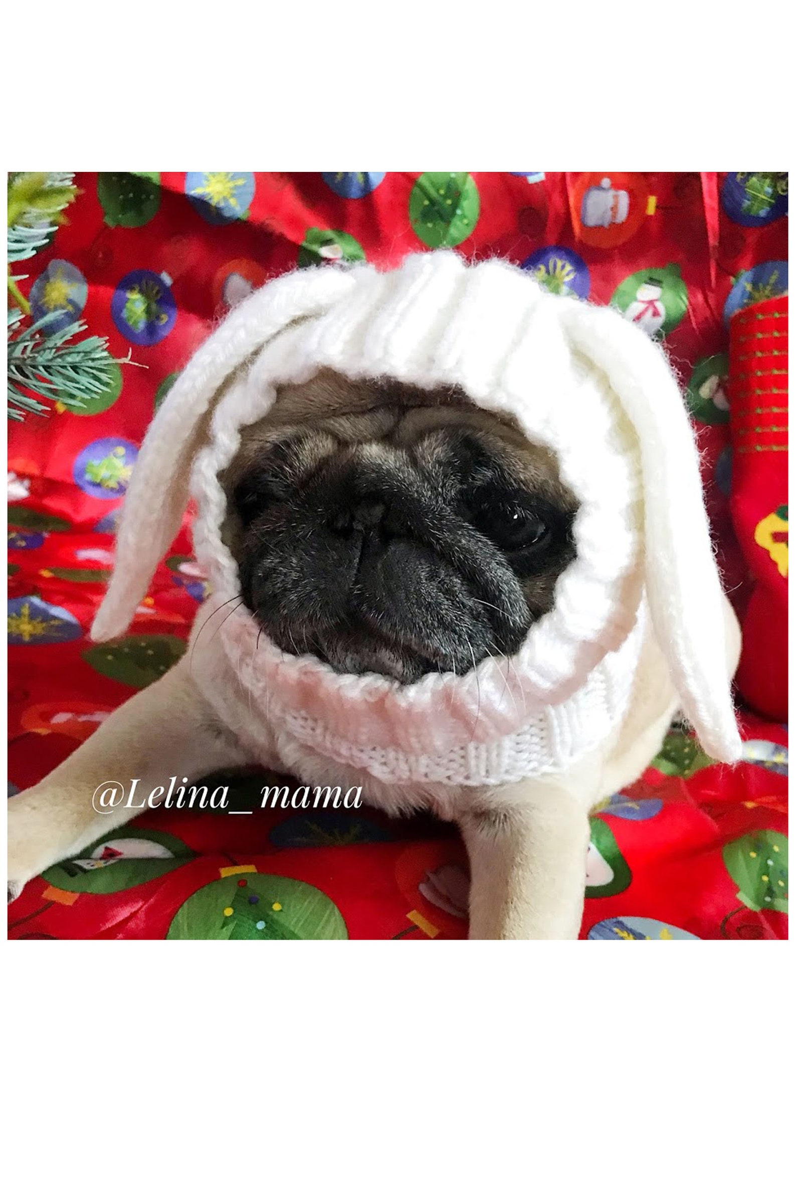 Hat for pug dog clothes hat for dogs costume for pug ears | Etsy