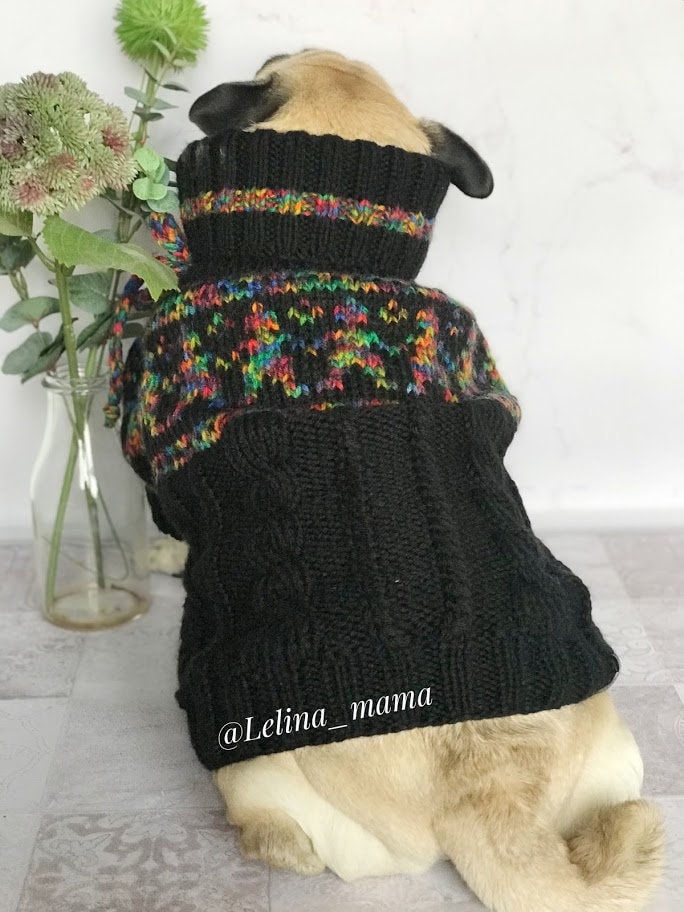 Sweater for pug Rainbow clothes for pug knitted | Etsy