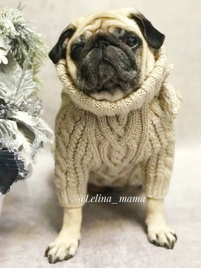 Pug clothes knitted arana sweater dog sweater bulldog | Etsy