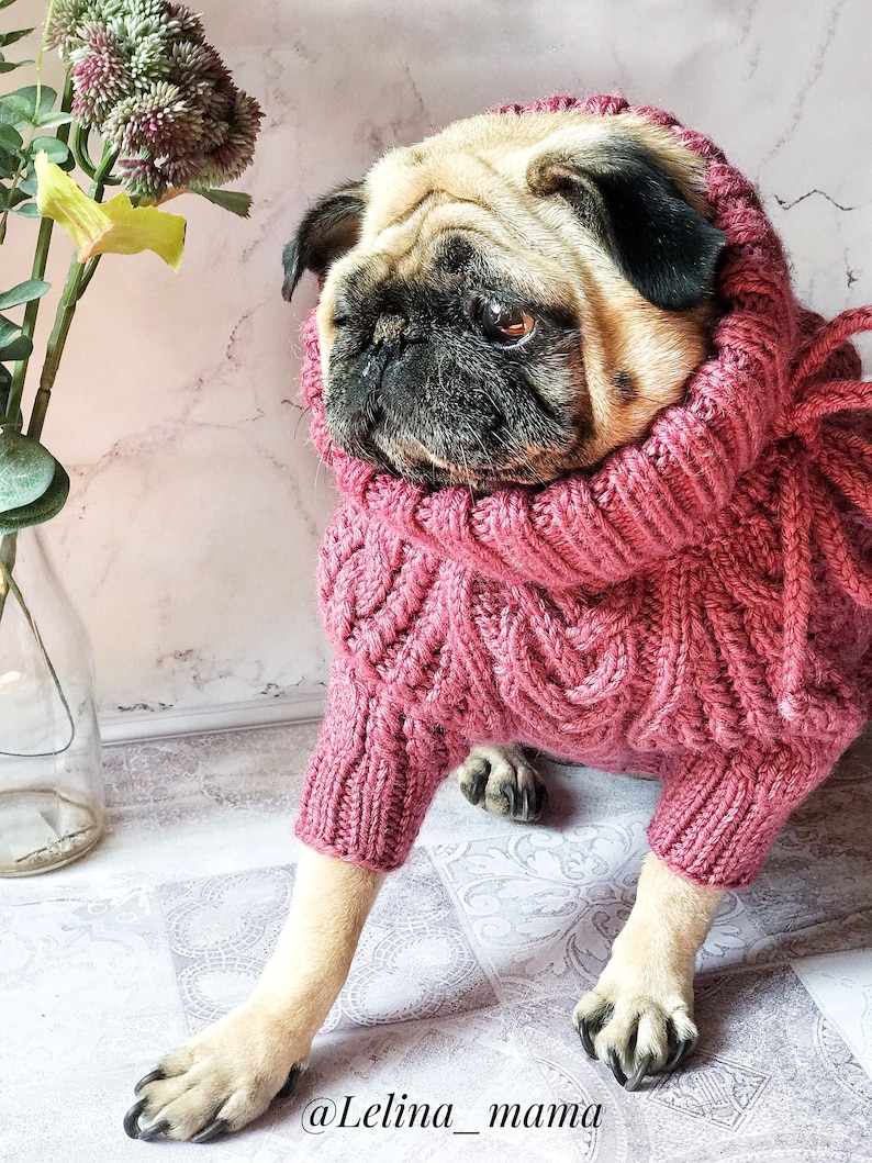 Pug Clothes Knitted Arana Sweater Dog Sweater Bulldog - Etsy