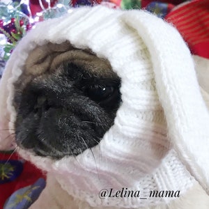 Hat for pug dog clothes hat for dogs costume for pug ears | Etsy