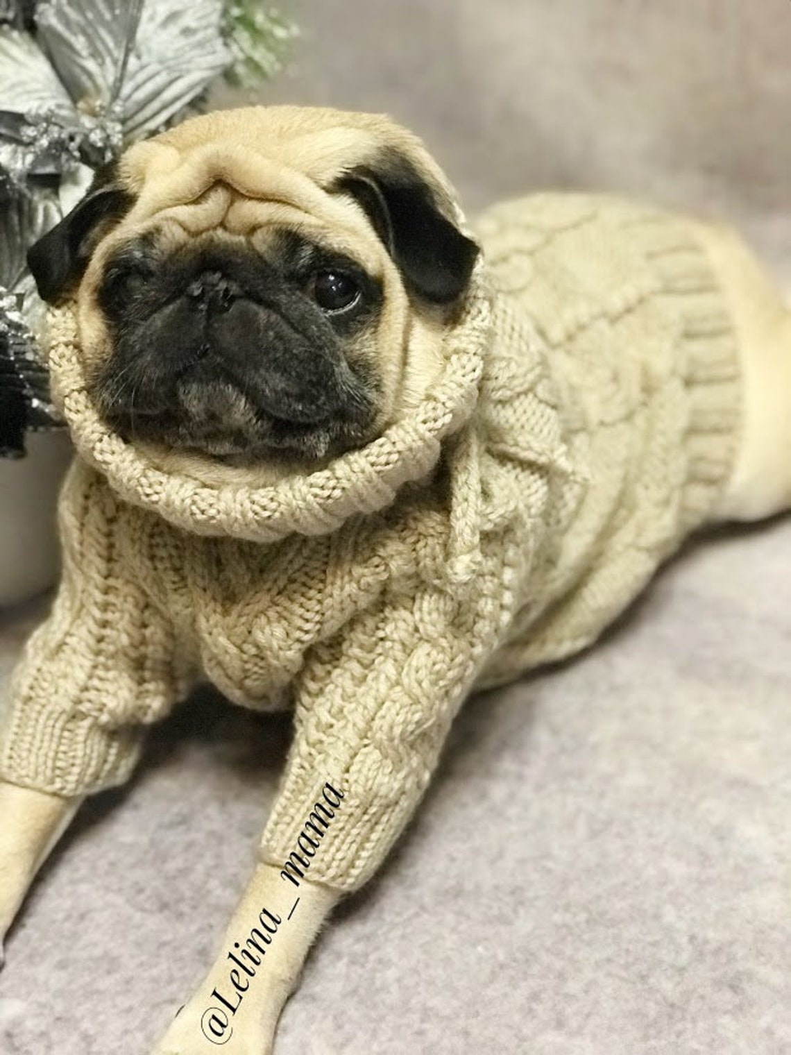 Pug clothes knitted arana sweater dog sweater bulldog | Etsy