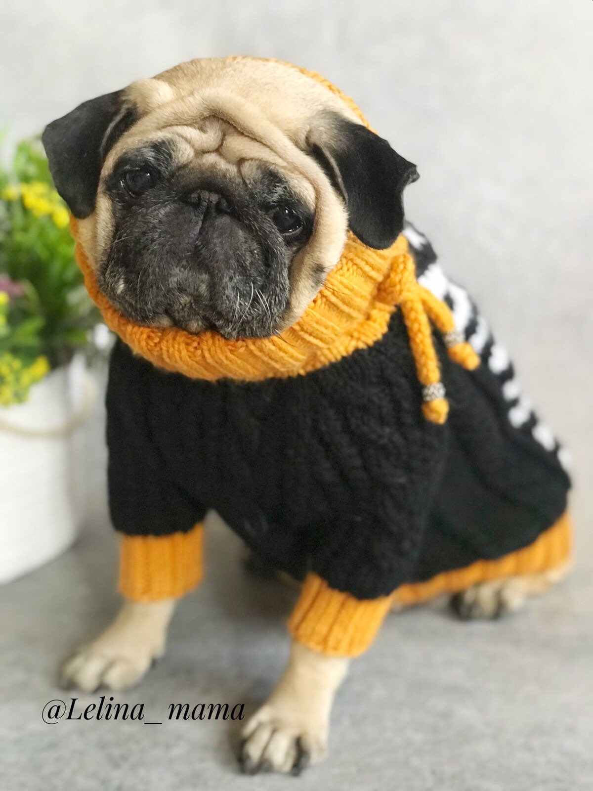 Cool Yellow and Black Sweater Pug Clothes Knitted Aran Sweater Dog ...