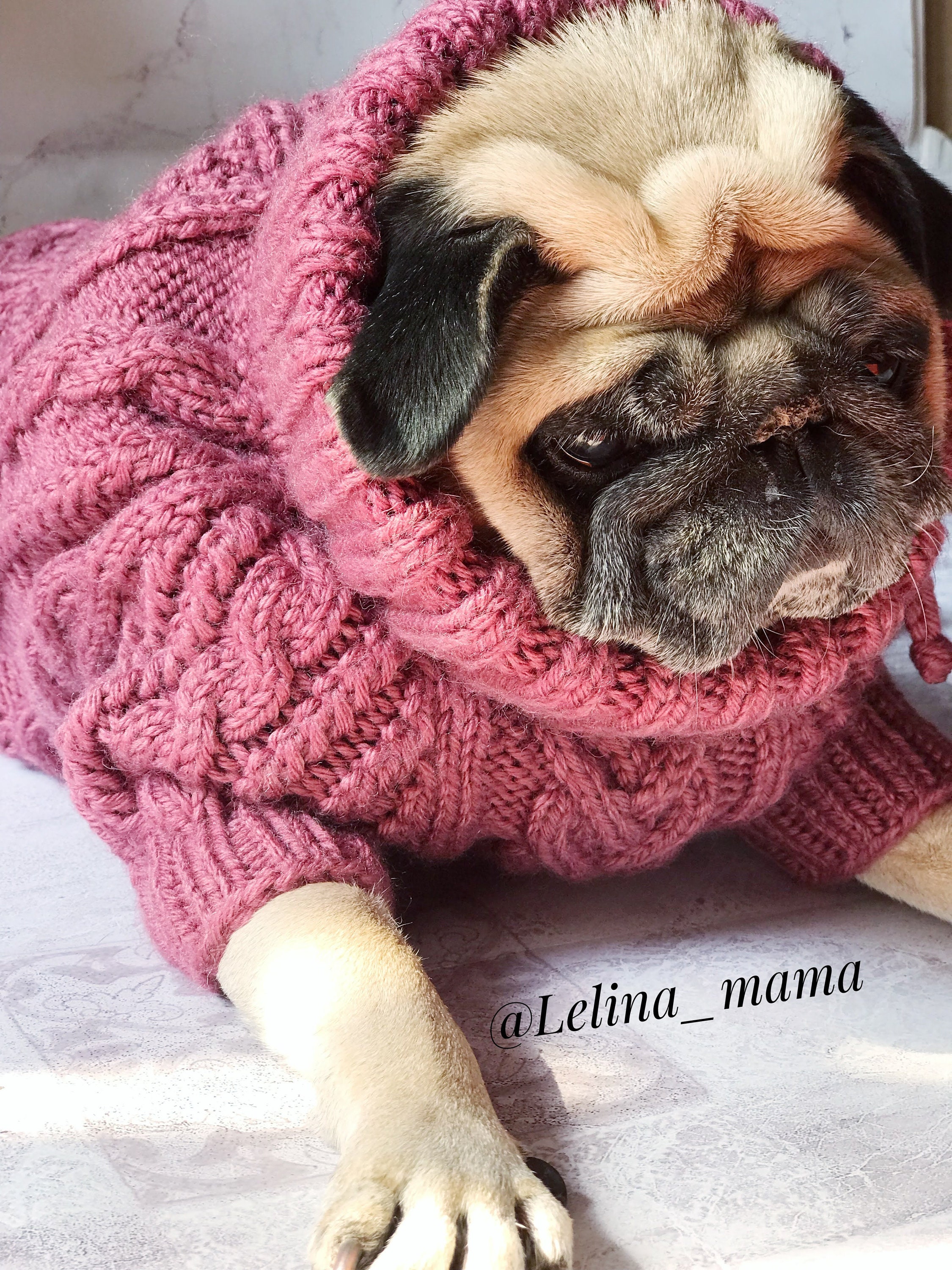 Pug Clothes Knitted Arana Sweater Dog Sweater Bulldog - Etsy