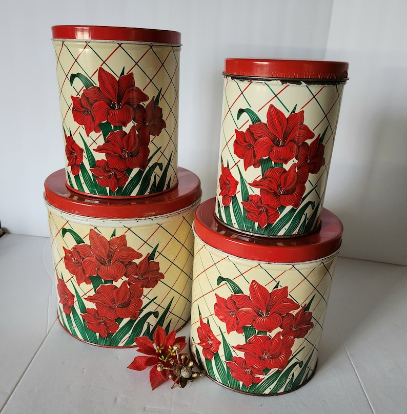 NC Colorware Amaryllis Tins, 40's 50's Kitchen Tin Set - Etsy