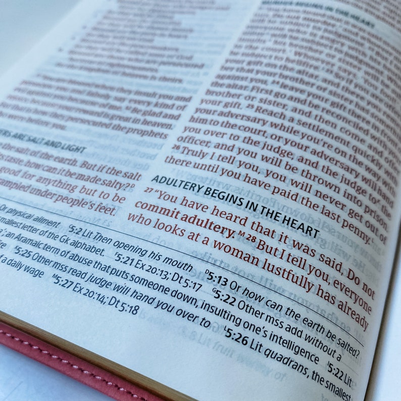 PERSONALIZED CSB Bible - Pink - She is Clothed With Dignity (proverbs ...