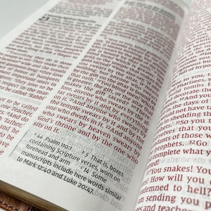 PERSONALIZED NIV Large Print Bible - Tan/brown - All My Life You Have ...