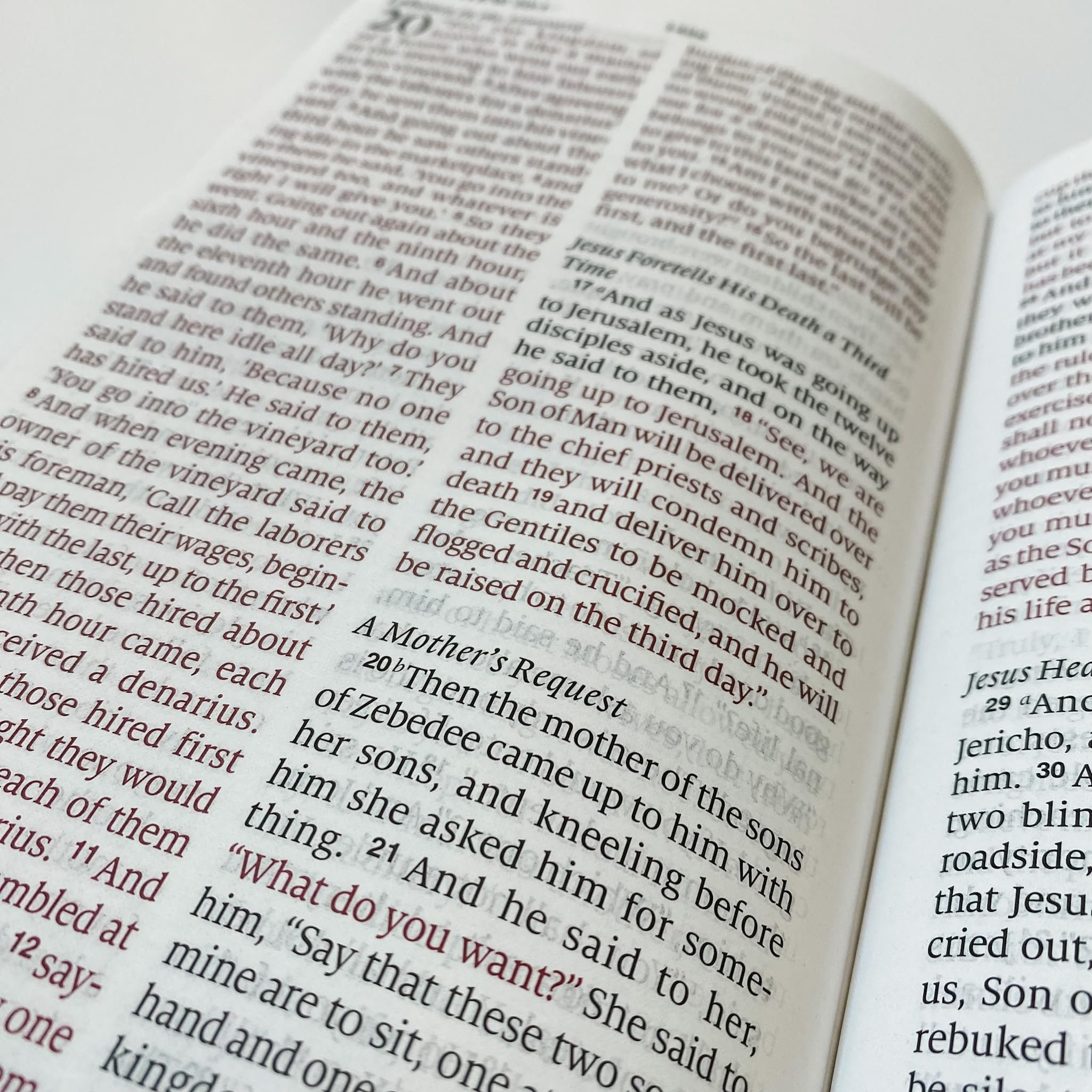 PERSONALIZED ESV Large Print Bible - the Holy Bible - Add a Name to ...