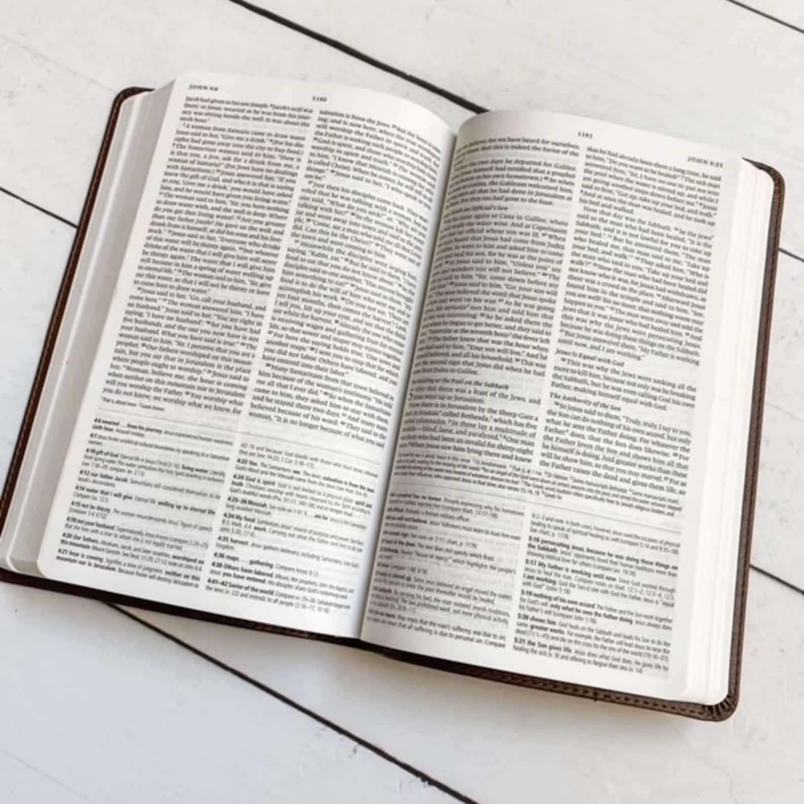 PERSONALIZED ESV Concise Study Bible - Brown - Proverbs 28:1 With Lion ...